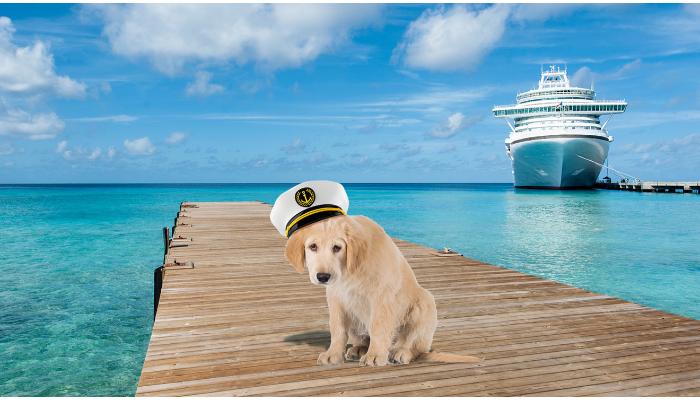Are Service Dogs Allowed On Cruise Ships?